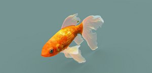 SketchUp Fish Models | TurboSquid