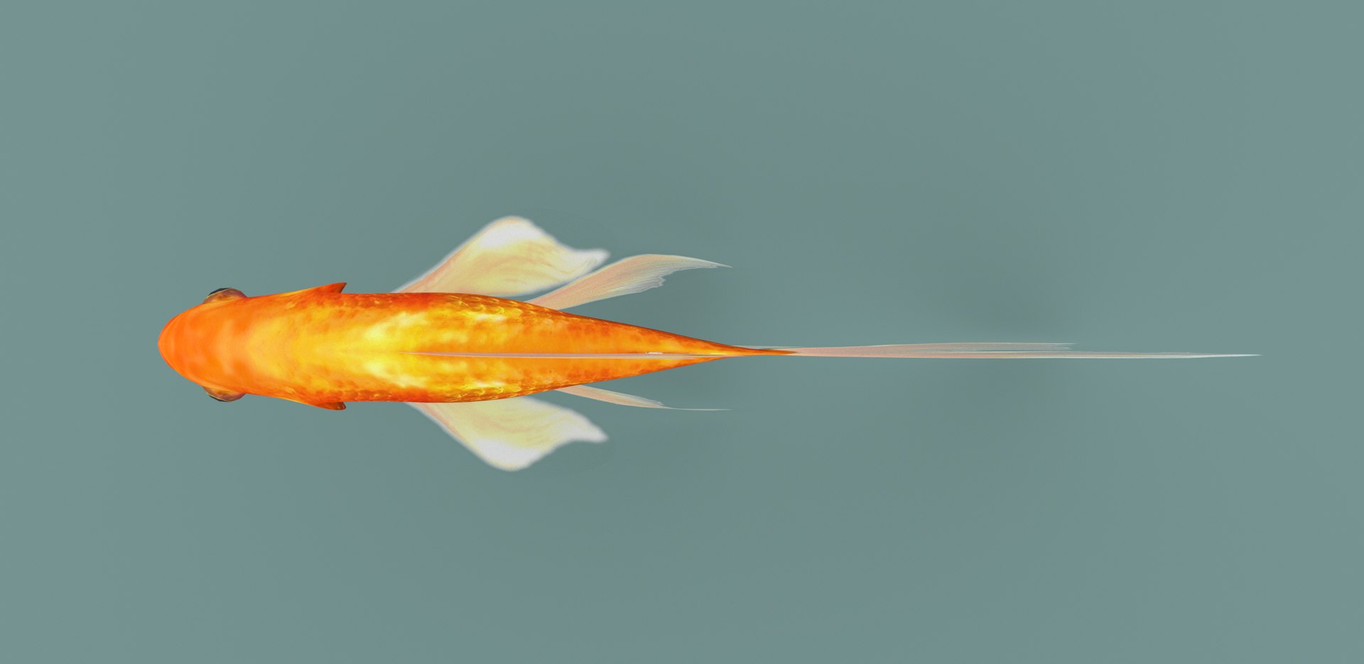 Goldfish 3D Model - TurboSquid 2080692