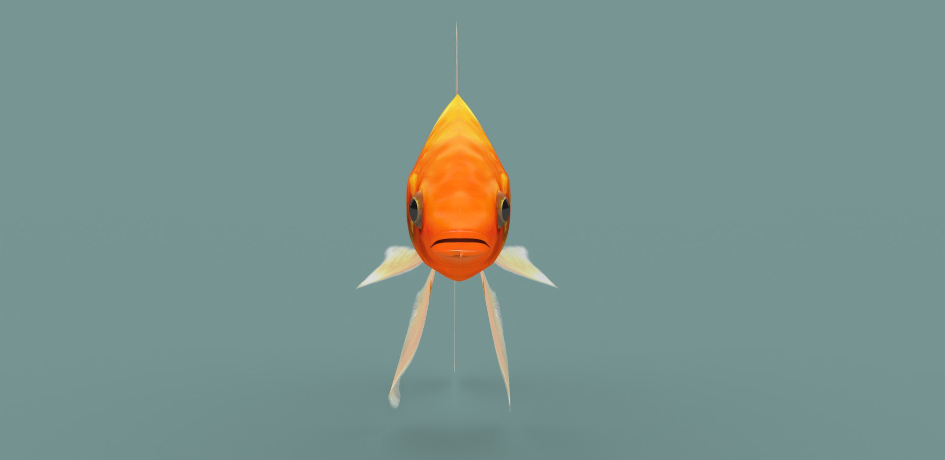 Goldfish 3D Model - TurboSquid 2080692