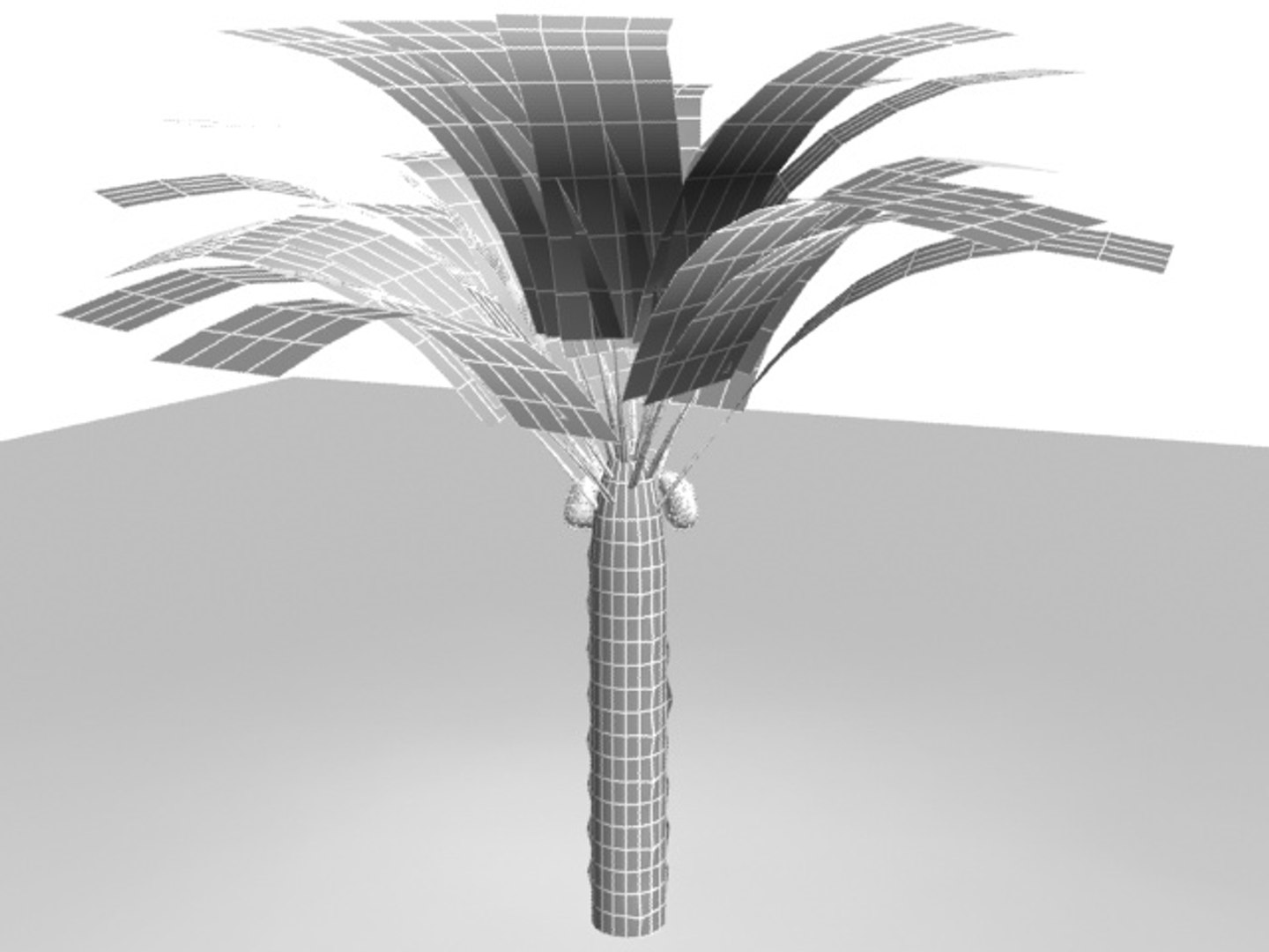 Palm Tree Dates Model - TurboSquid 1321531