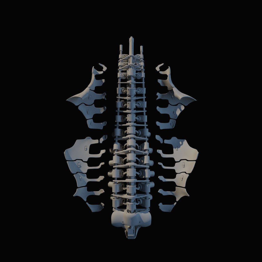 Spine Mechanical 3D - TurboSquid 1452228