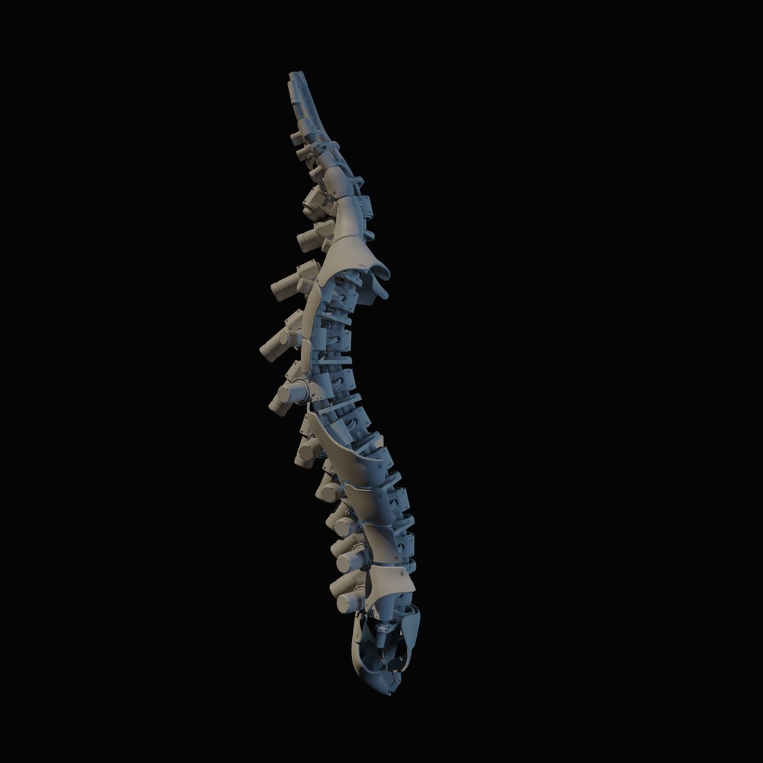 Spine mechanical 3D - TurboSquid 1452228