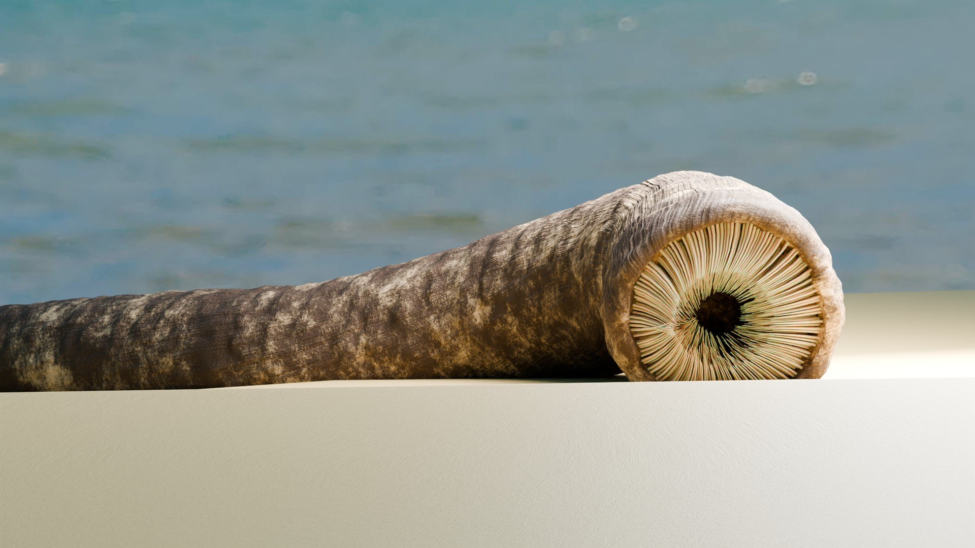 3D Dune Sandworm Model - TurboSquid 2380167