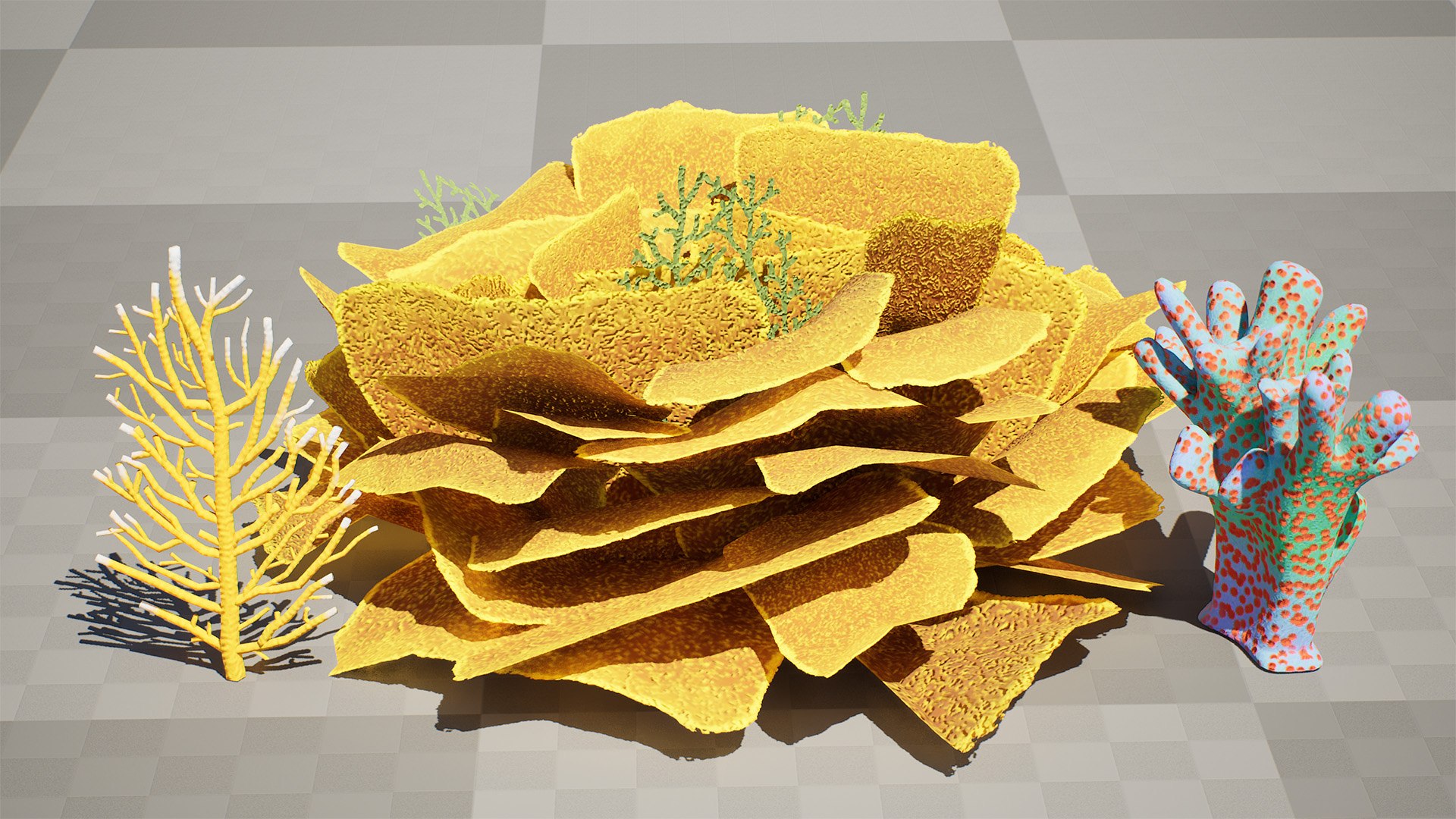 3D Model Realistic Coral And Seaweed 3D Asset Collection - TurboSquid ...