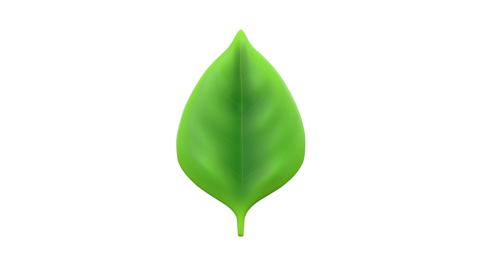 3D Cartoon Leaf - TurboSquid 2137949