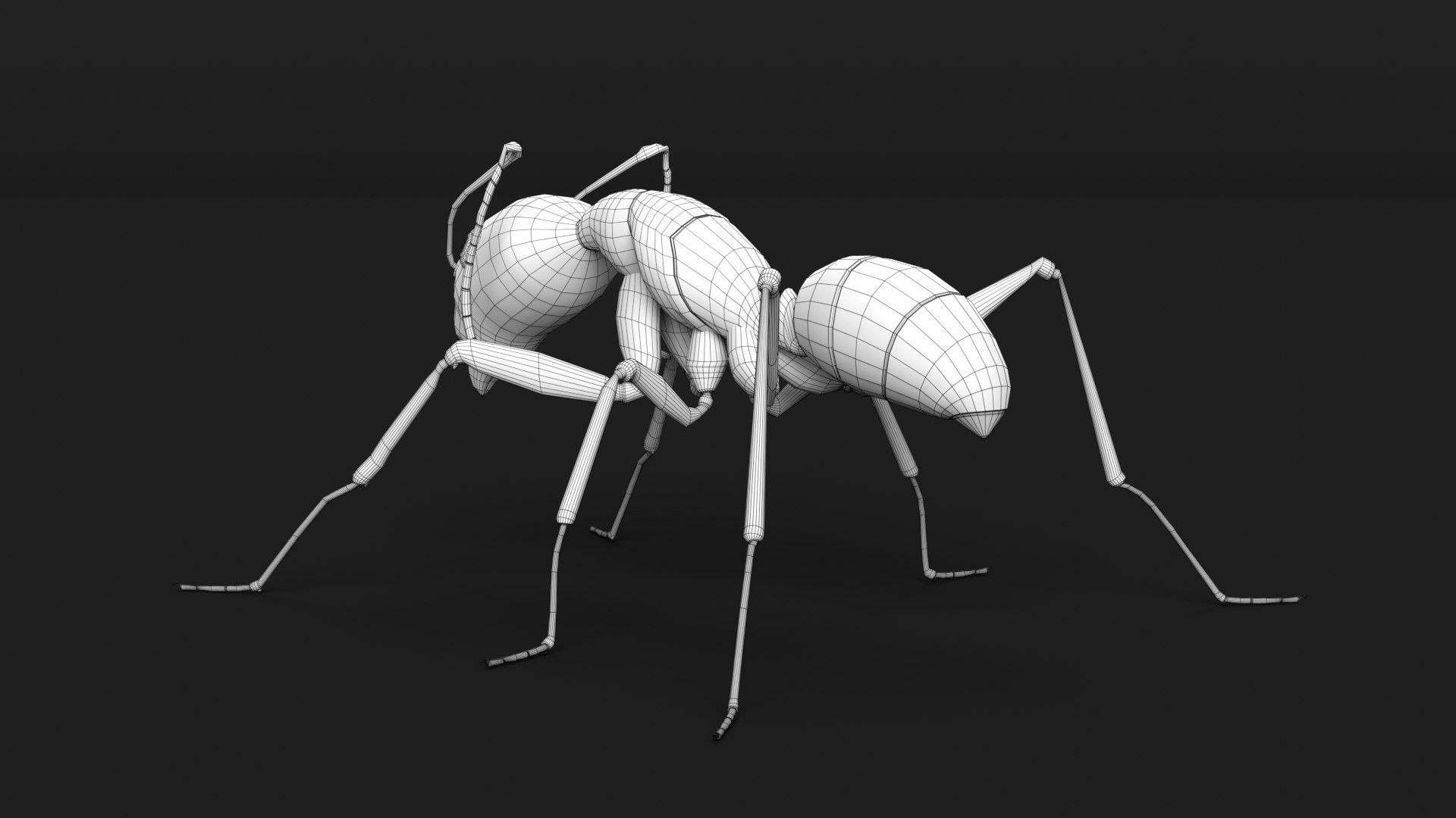 3D Animated Ant Model - TurboSquid 1837118