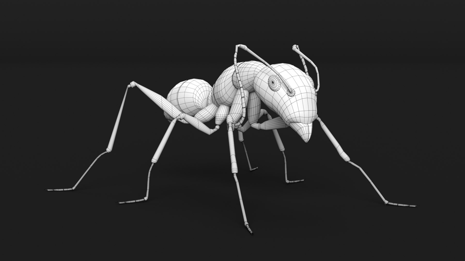 3D Animated Ant Model - TurboSquid 1837118