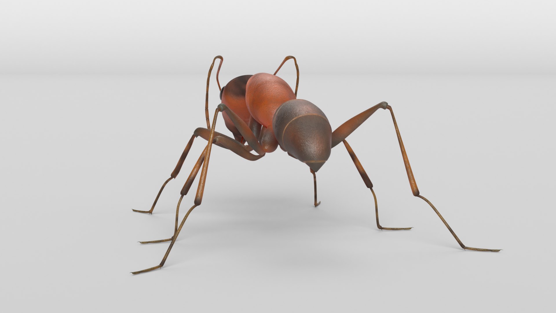 3D Animated Ant Model - TurboSquid 1837118