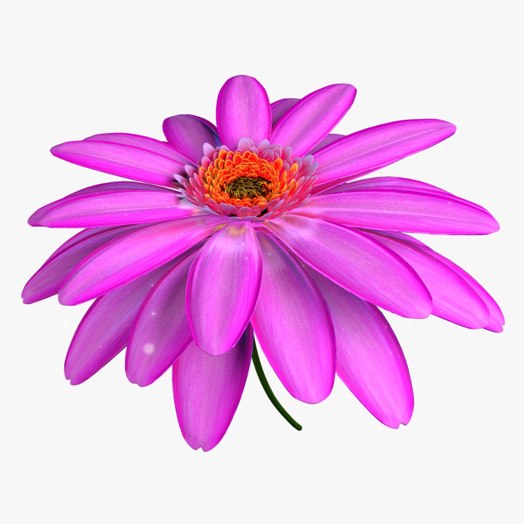 3D daisy flower - TurboSquid 1687378