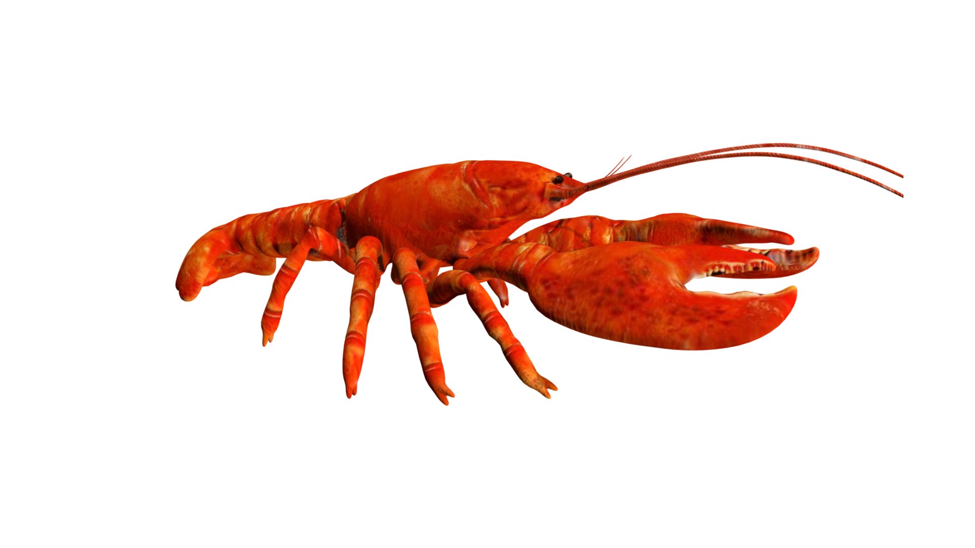 3D Rigged Low Poly Lobster - TurboSquid 1763137