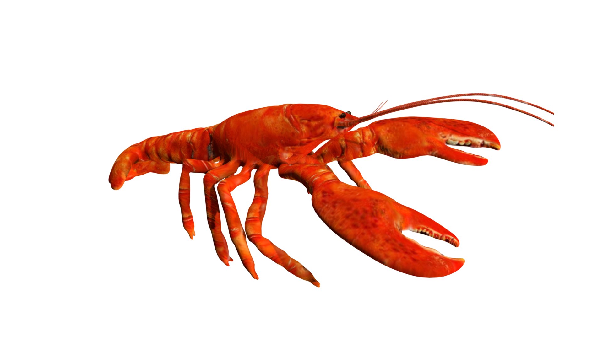 3D Rigged Low Poly Lobster - TurboSquid 1763137