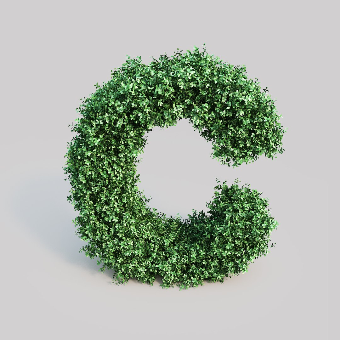 3d alphabet c buxus model