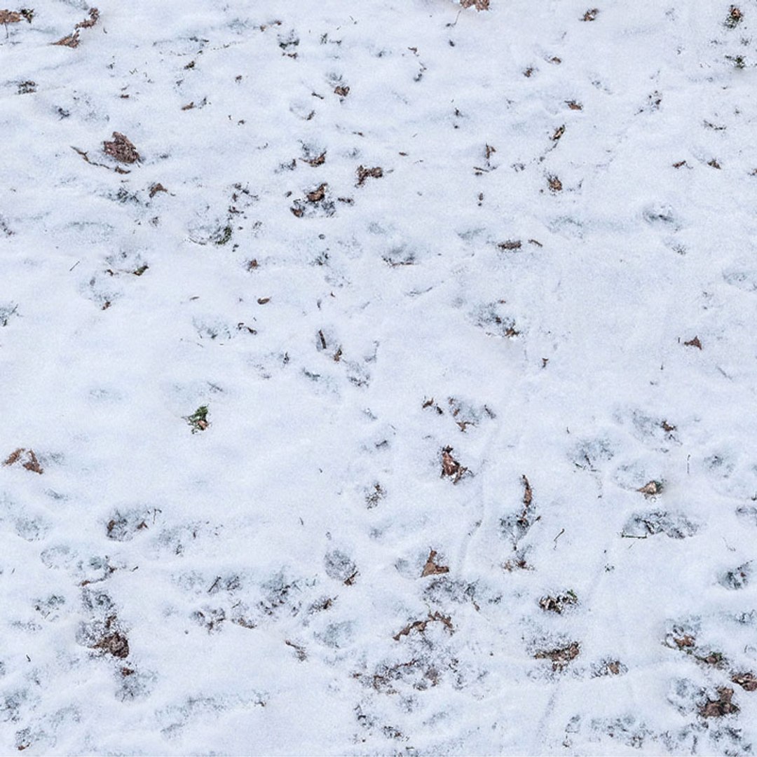 3d Model Ground Snow