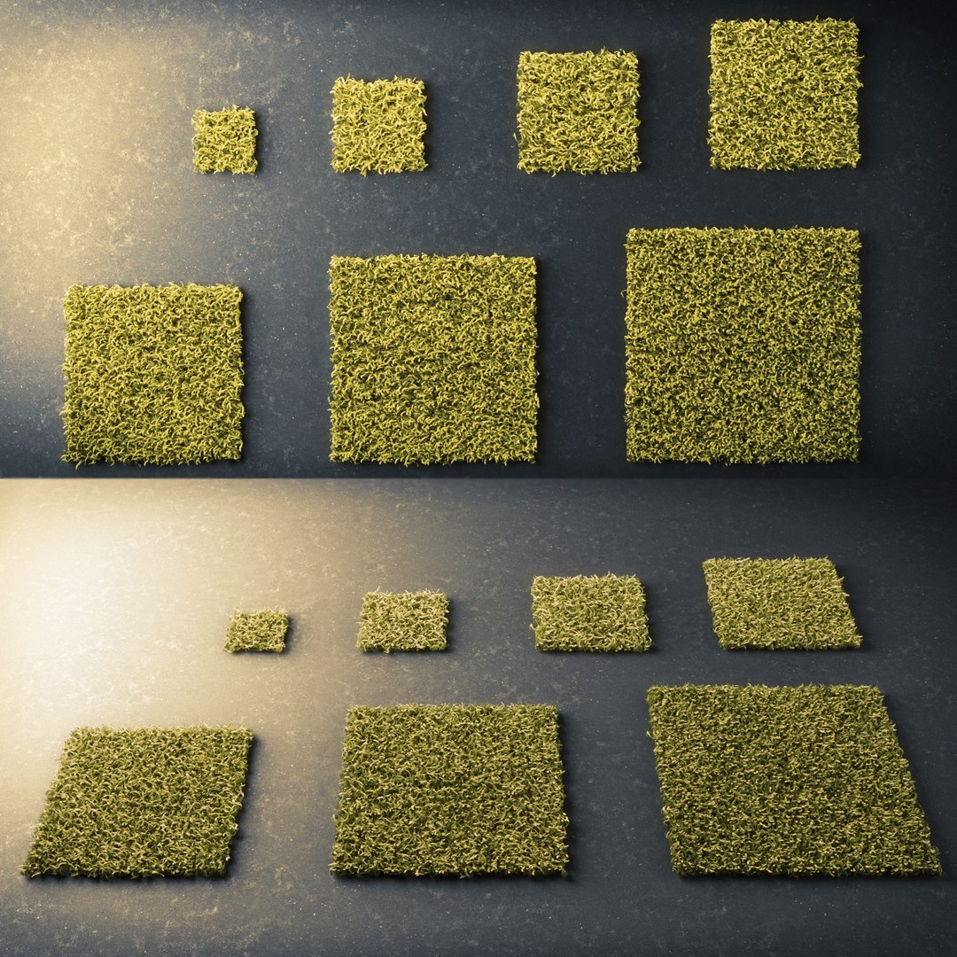 3D Moss Square Model - TurboSquid 1535041