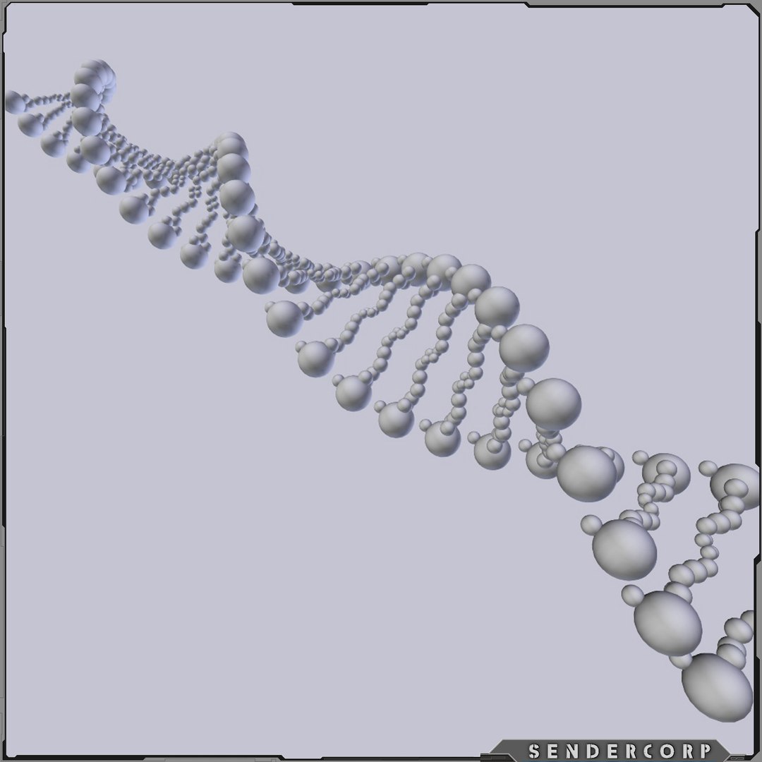 Double Helix 3d Model