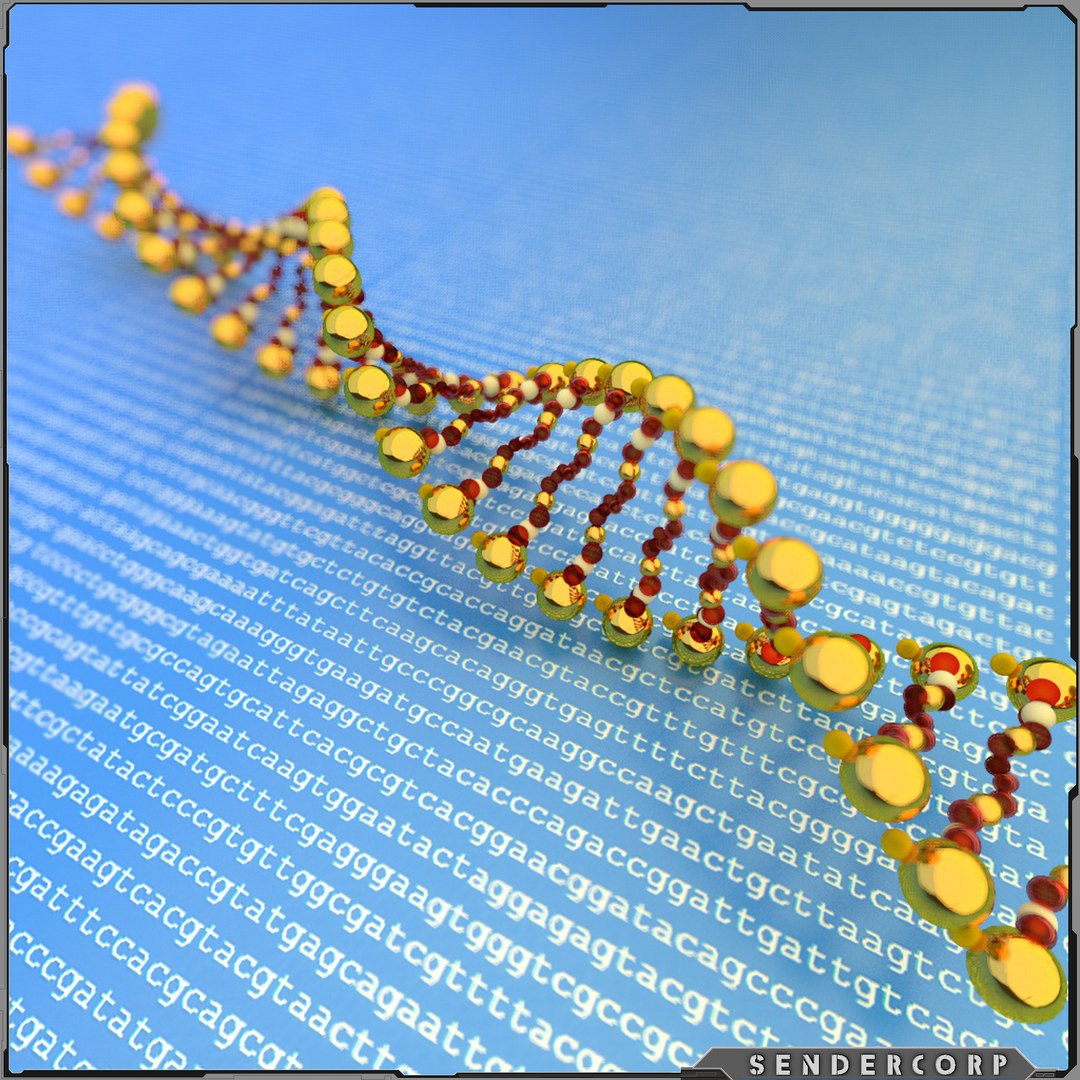 Double Helix 3d Model