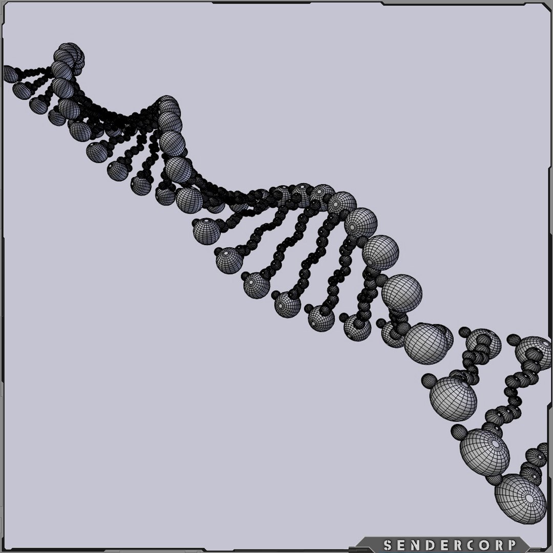 Double Helix 3d Model