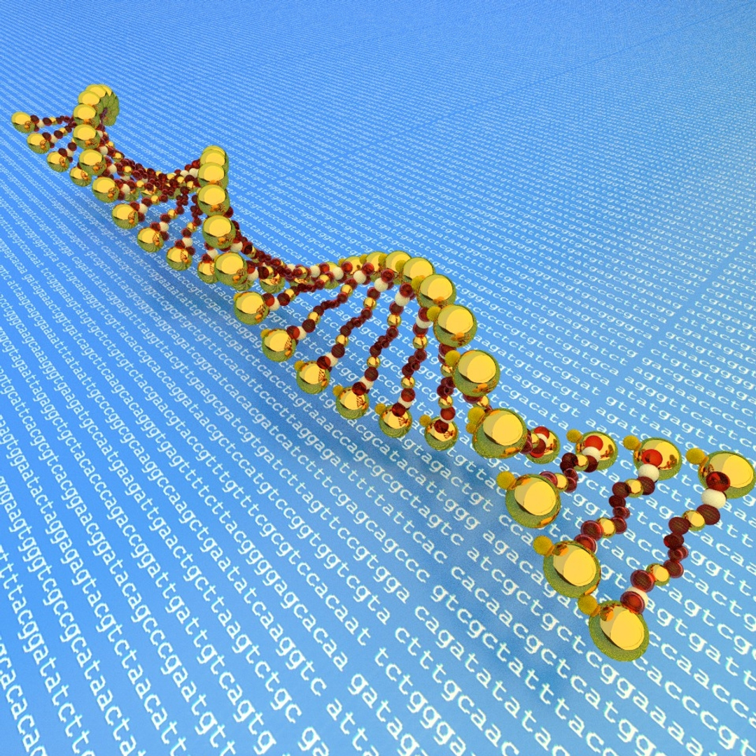 Double Helix 3d Model