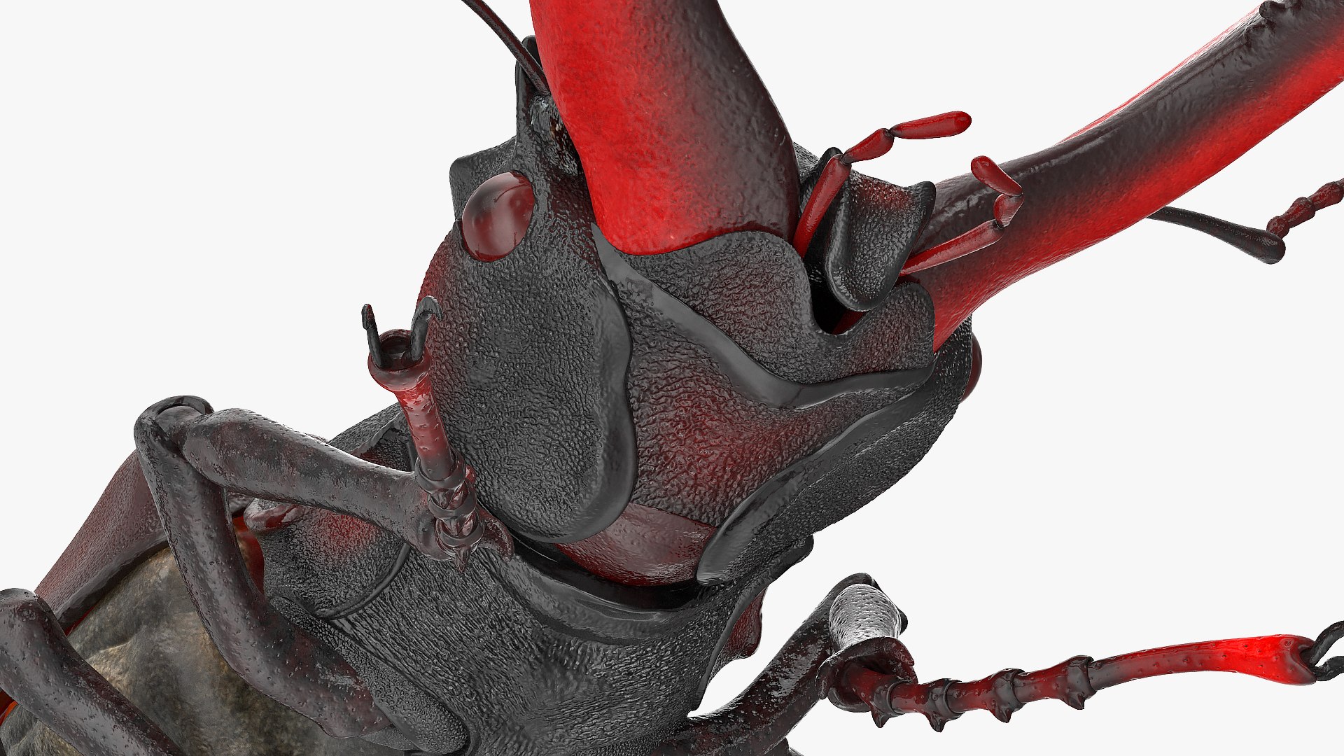 3D lucanus cervus stag beetle - TurboSquid 1511643