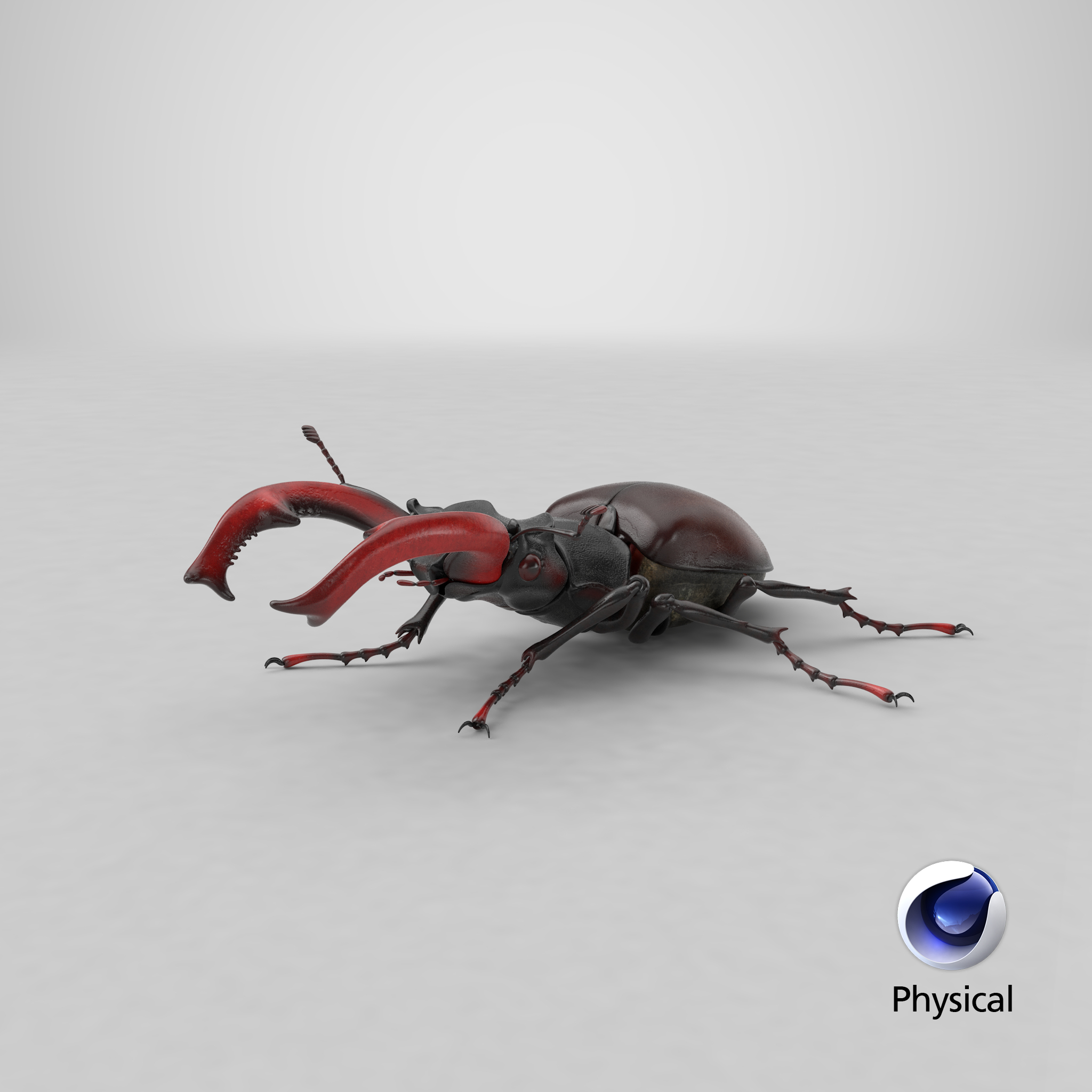 3D lucanus cervus stag beetle - TurboSquid 1511643
