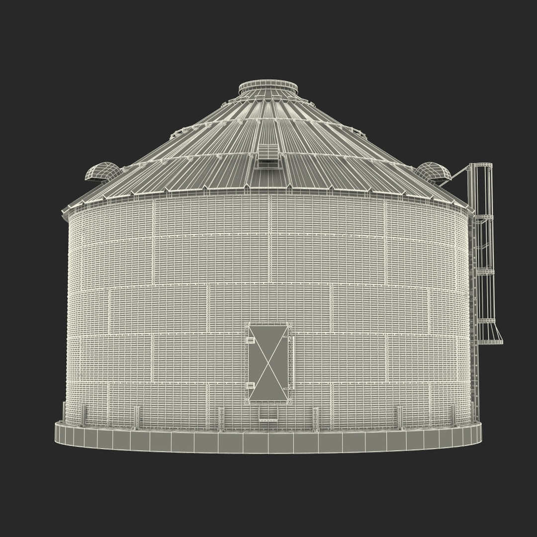 3d Systems Grain Storage Generic