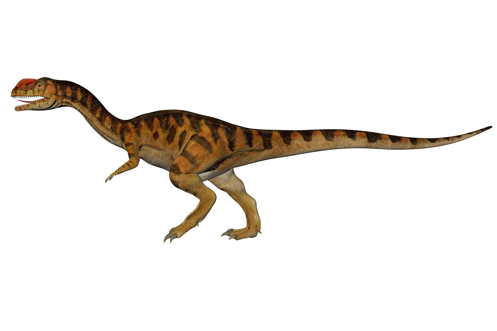 Liliensternus Dinosaur Triassic Animal Model - TurboSquid 2336469