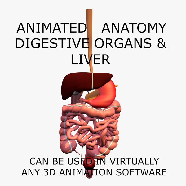 Intestines 3D Models for Download | TurboSquid