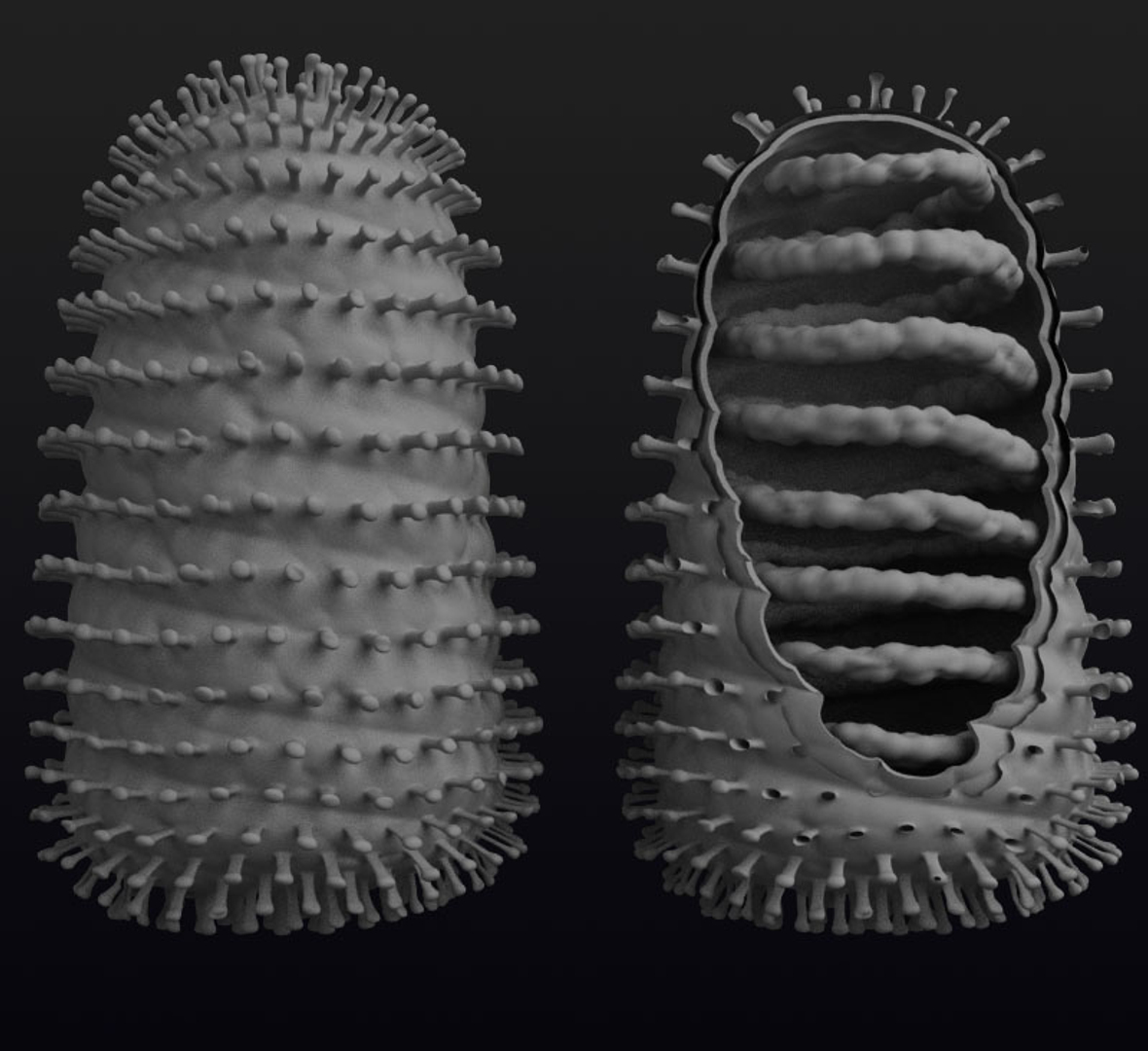 Virus rabies 3D model - TurboSquid 1326203