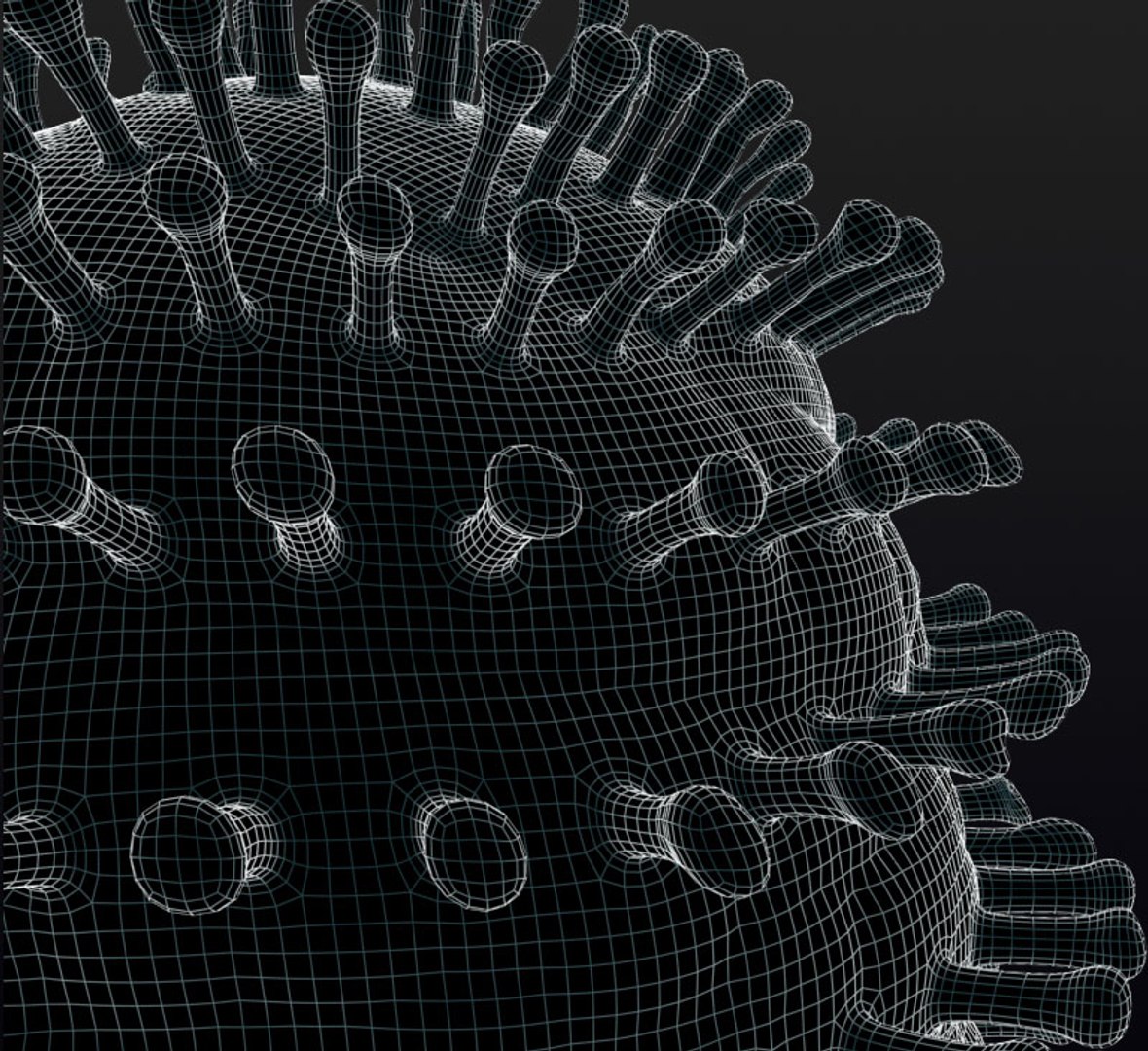 Virus Rabies 3D Model - TurboSquid 1326203