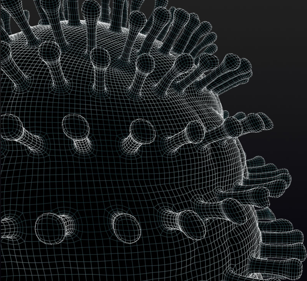 Virus rabies 3D model - TurboSquid 1326203