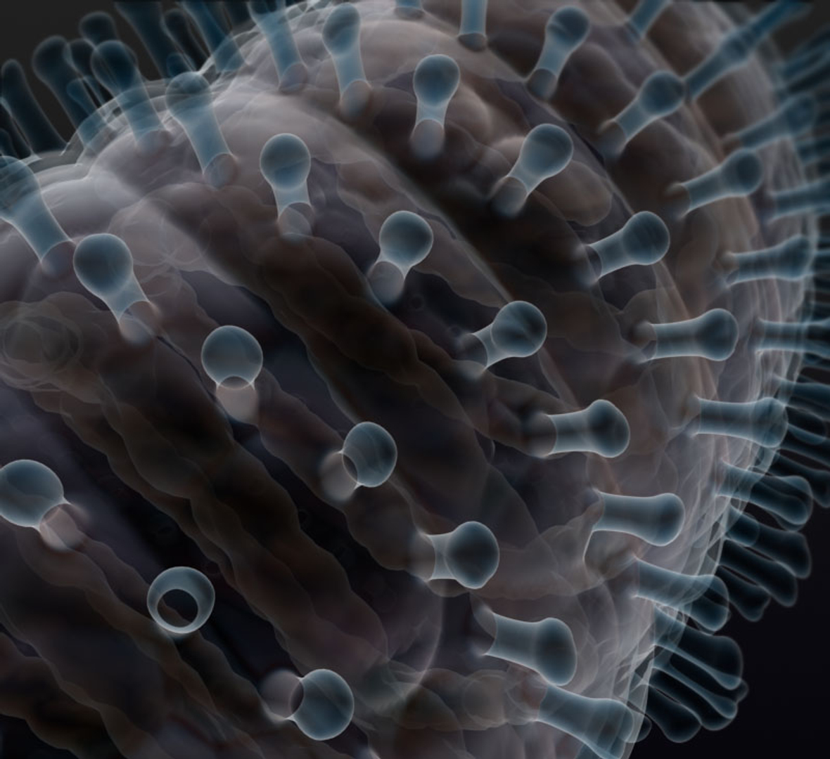 Virus rabies 3D model - TurboSquid 1326203