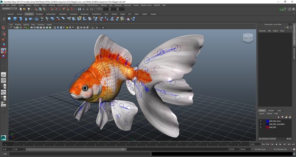 White Goldfish Aquarium Fish Rigged for Maya 3D model - TurboSquid 1764862