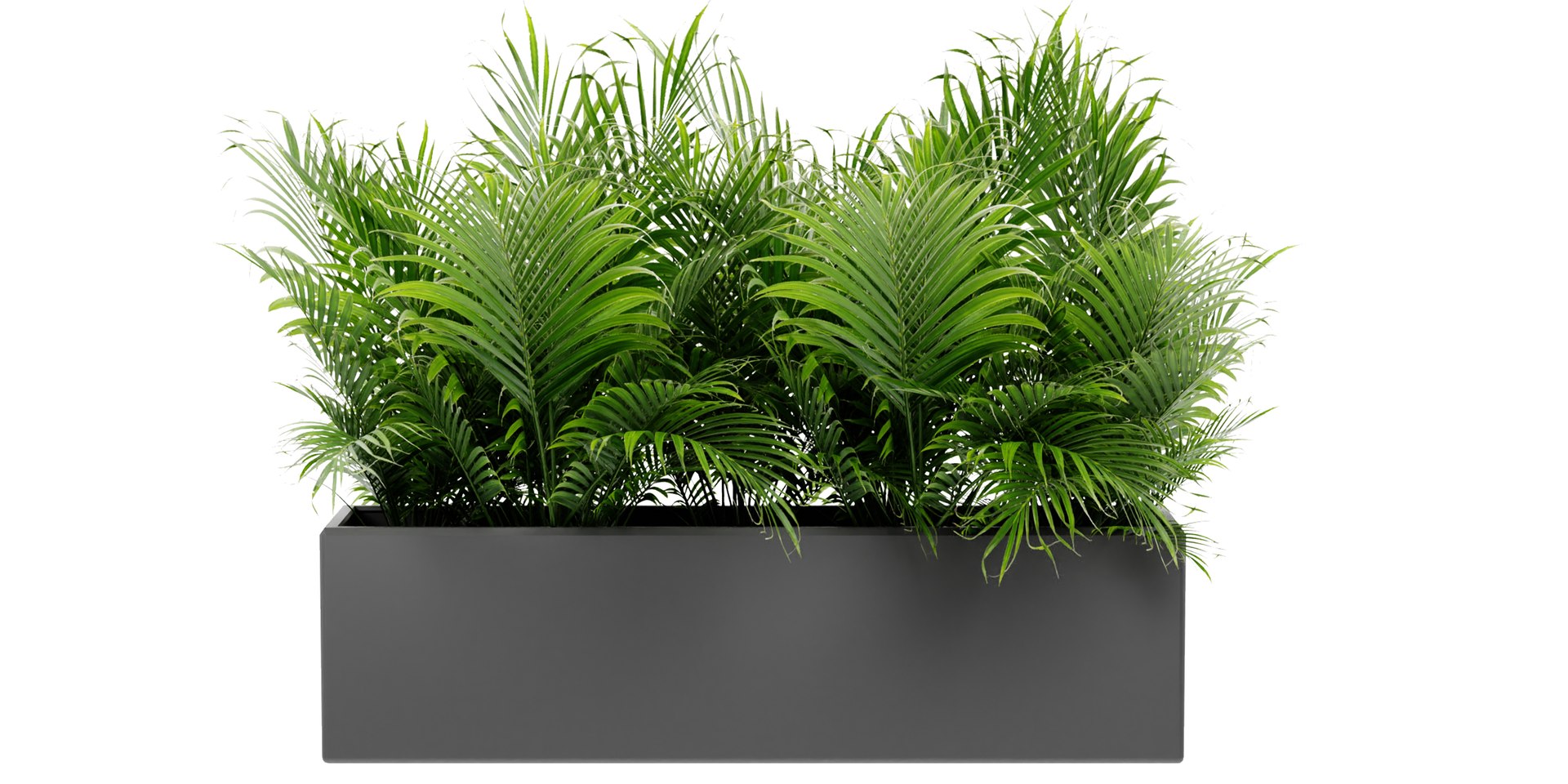 Collection Plant Vol 410 - Blender Model 3D - TurboSquid 2095910