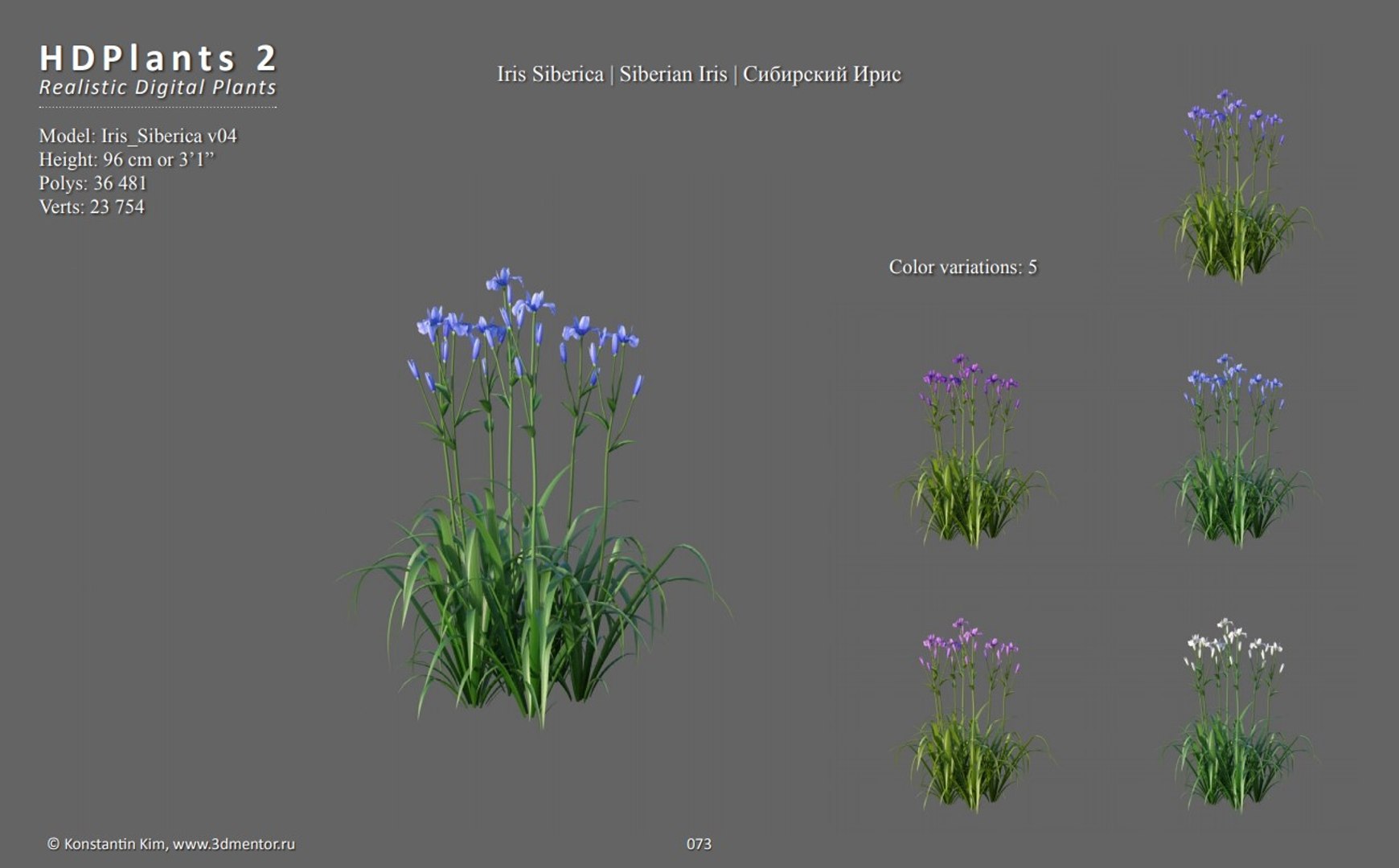 3D XfrogPlants HDPlants 2 - TurboSquid 1724759