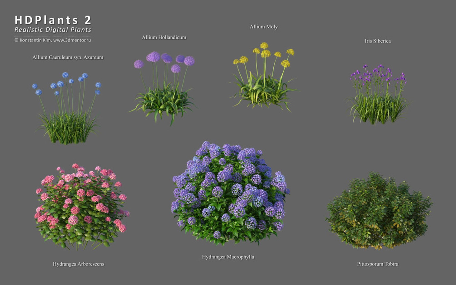 3D XfrogPlants HDPlants 2 - TurboSquid 1724759