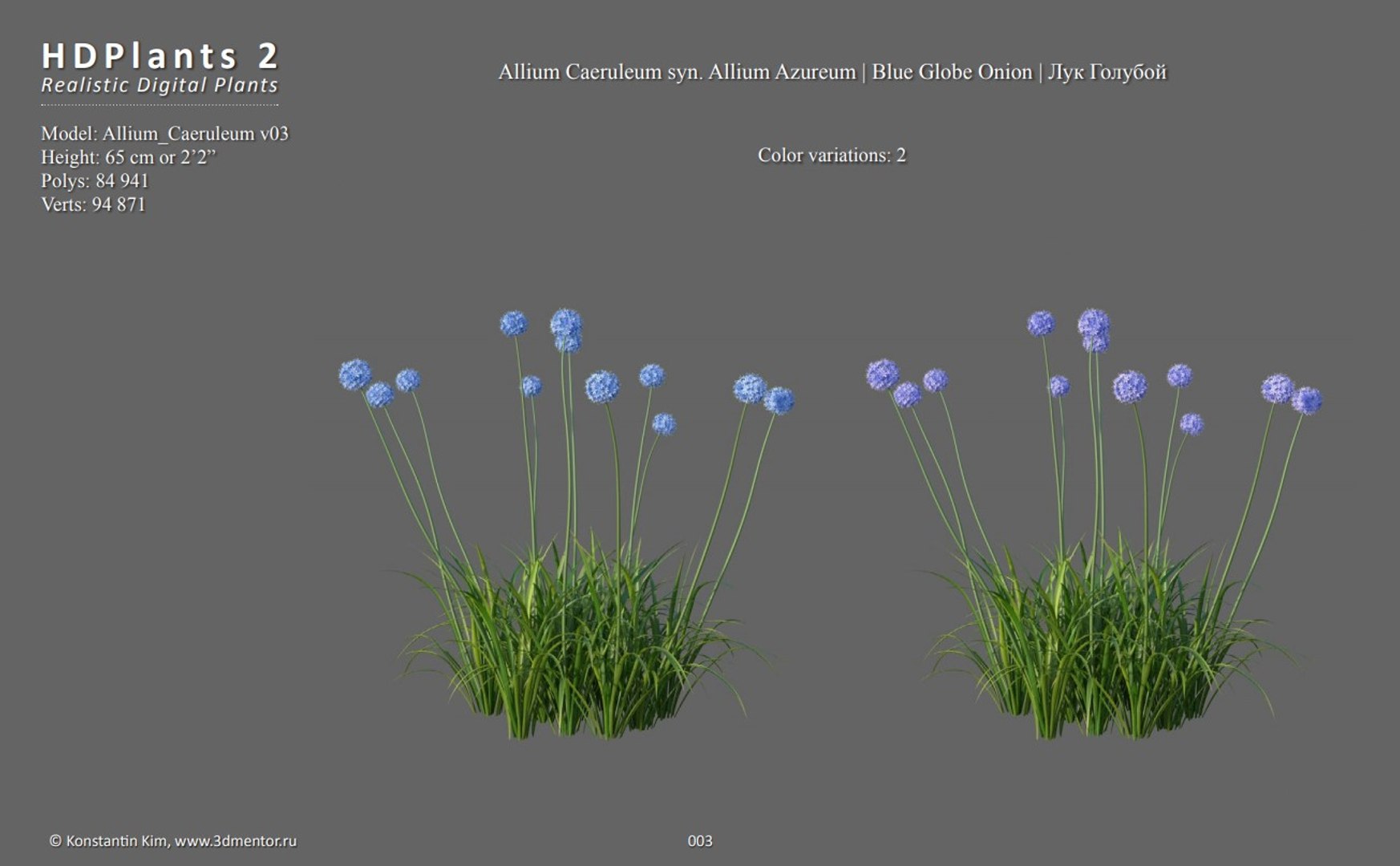 3D XfrogPlants HDPlants 2 - TurboSquid 1724759