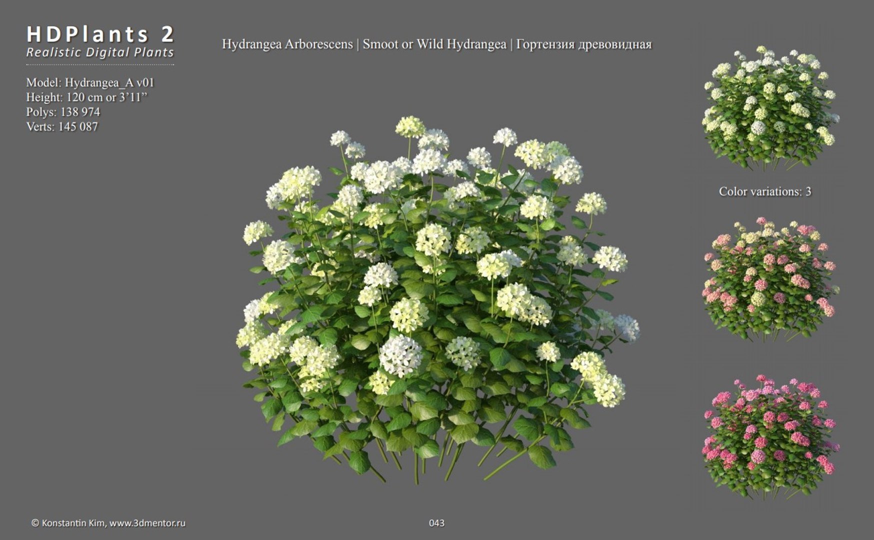 3D XfrogPlants HDPlants 2 - TurboSquid 1724759
