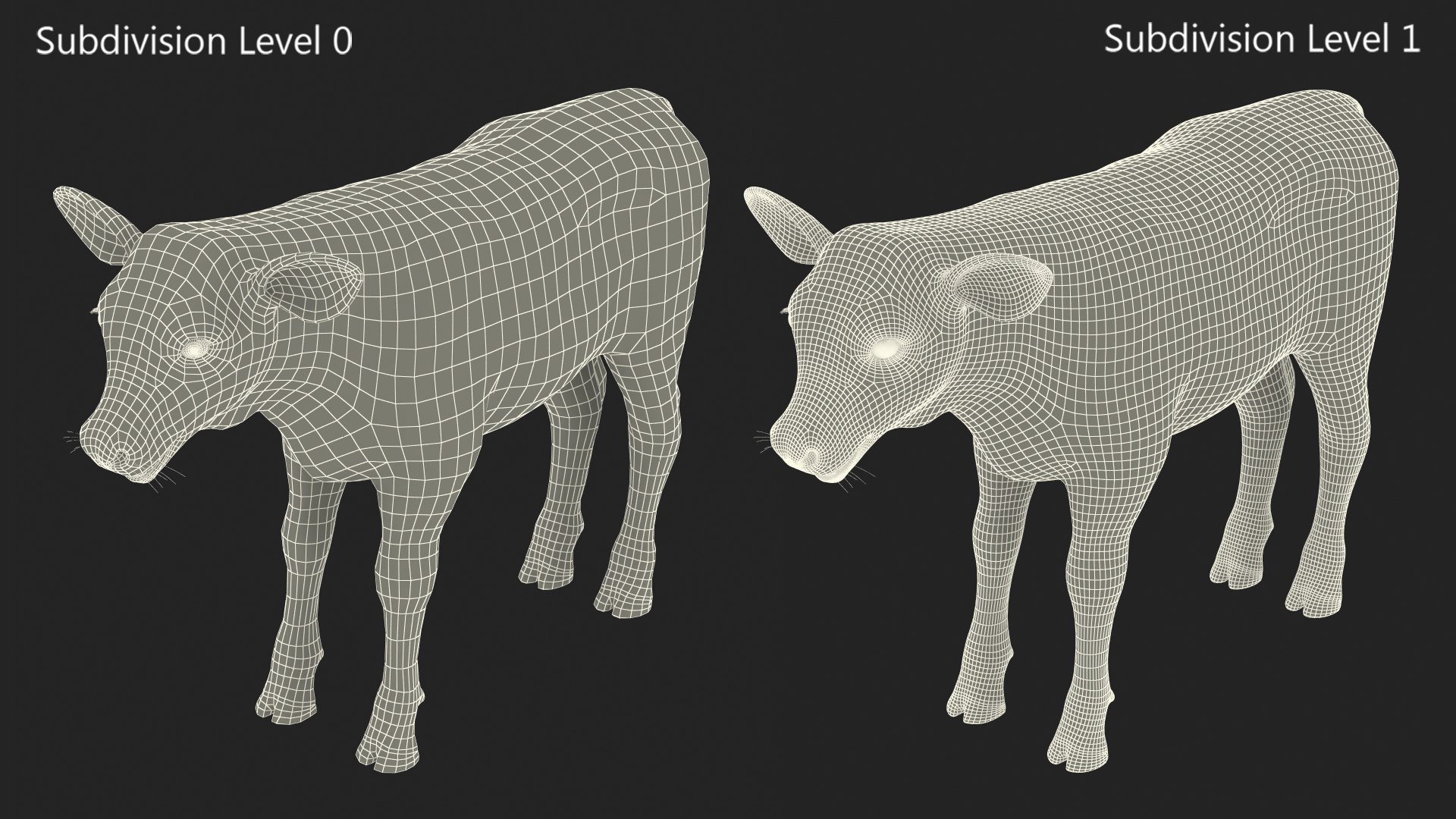 Cow Calf 3D Model - TurboSquid 2258997