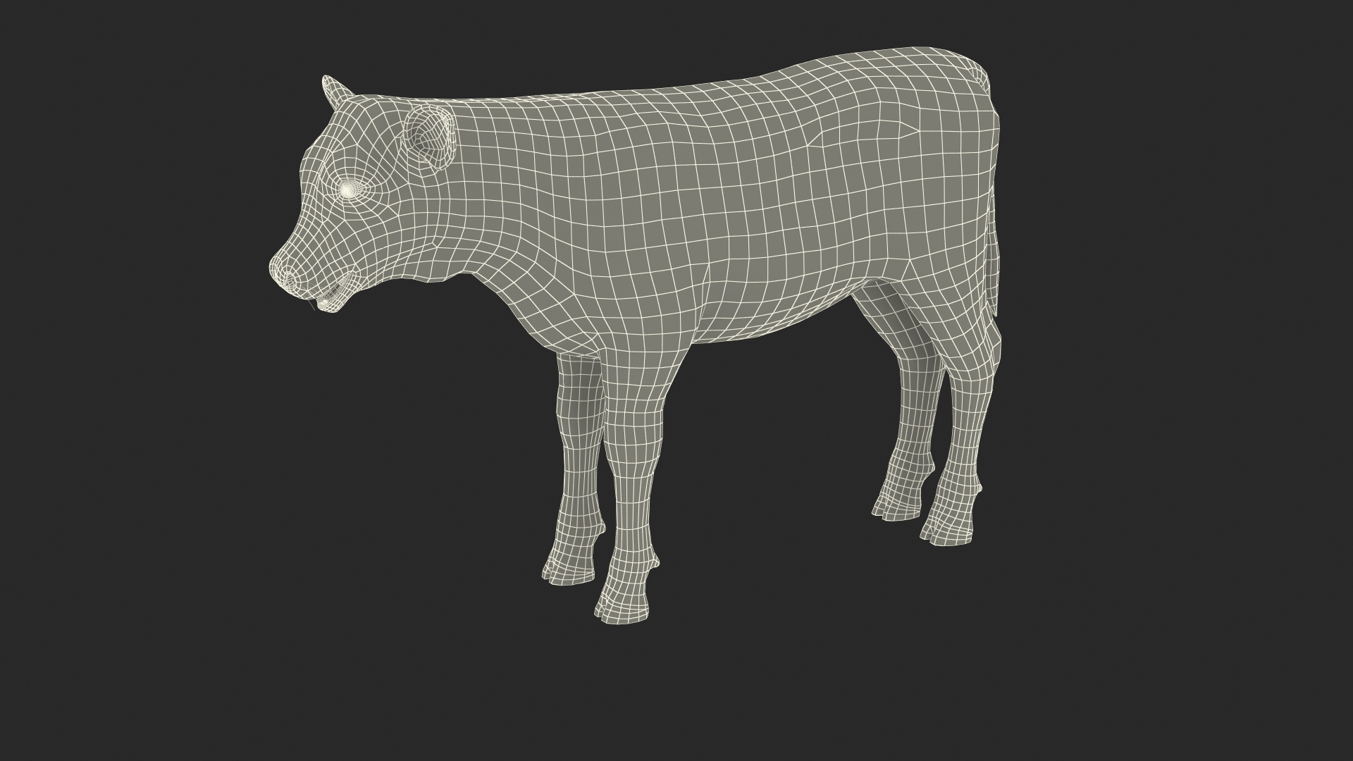 Cow Calf 3D Model - TurboSquid 2258997
