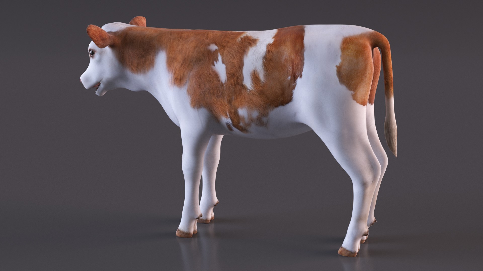 Cow Calf 3D Model - TurboSquid 2258997