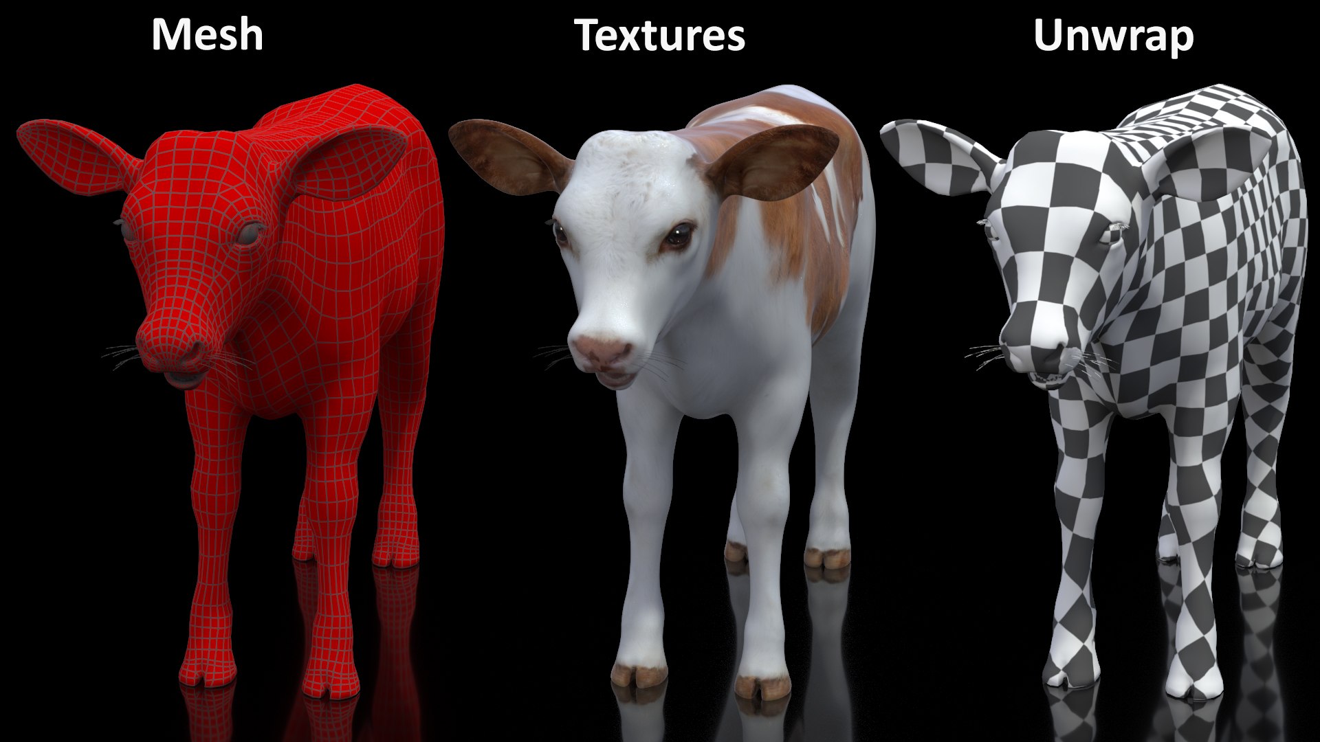 Cow Calf 3D Model - TurboSquid 2258997