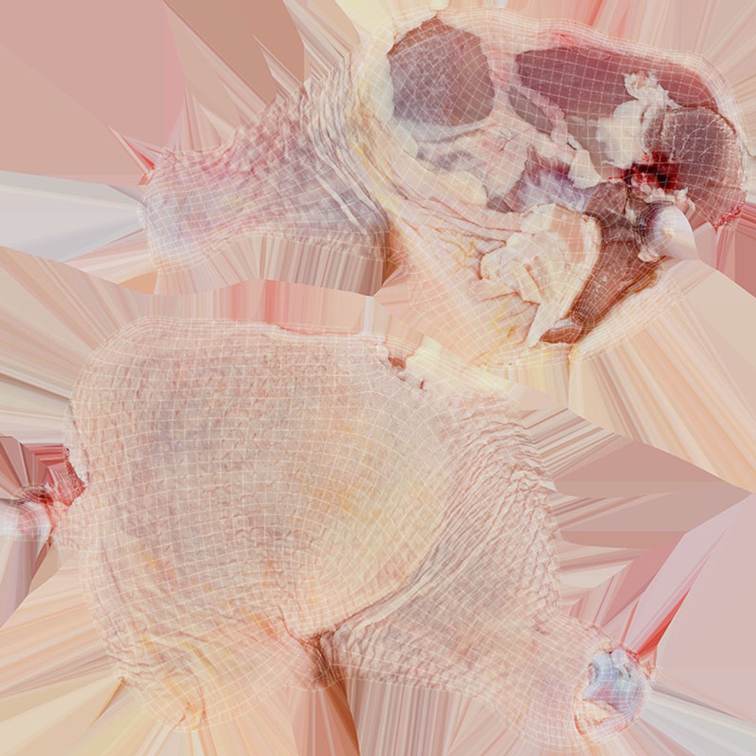 3D Fresh Raw Chicken Collection - TurboSquid 2080932