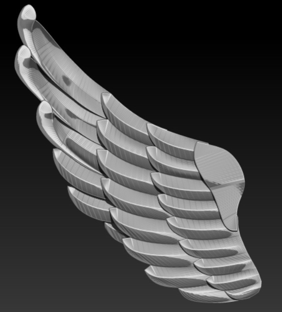 3D Model Animal Wing | 1147403 | TurboSquid