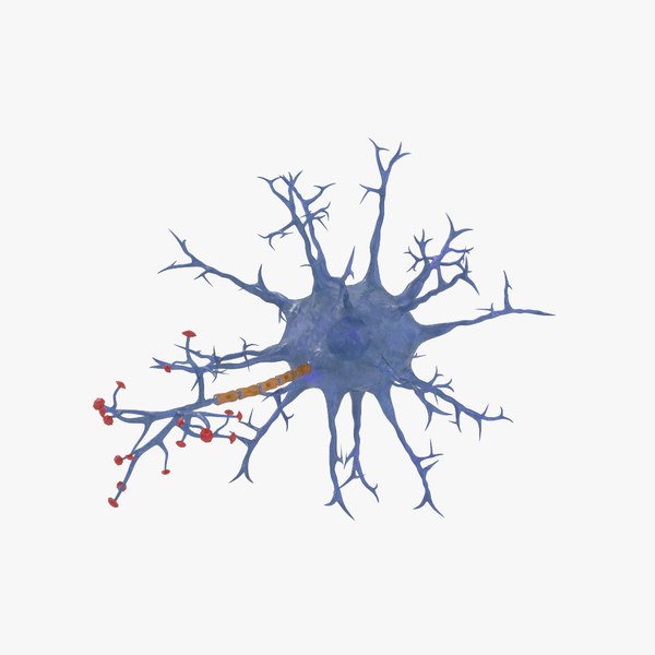 Nerve Cell 3D Models for Download | TurboSquid