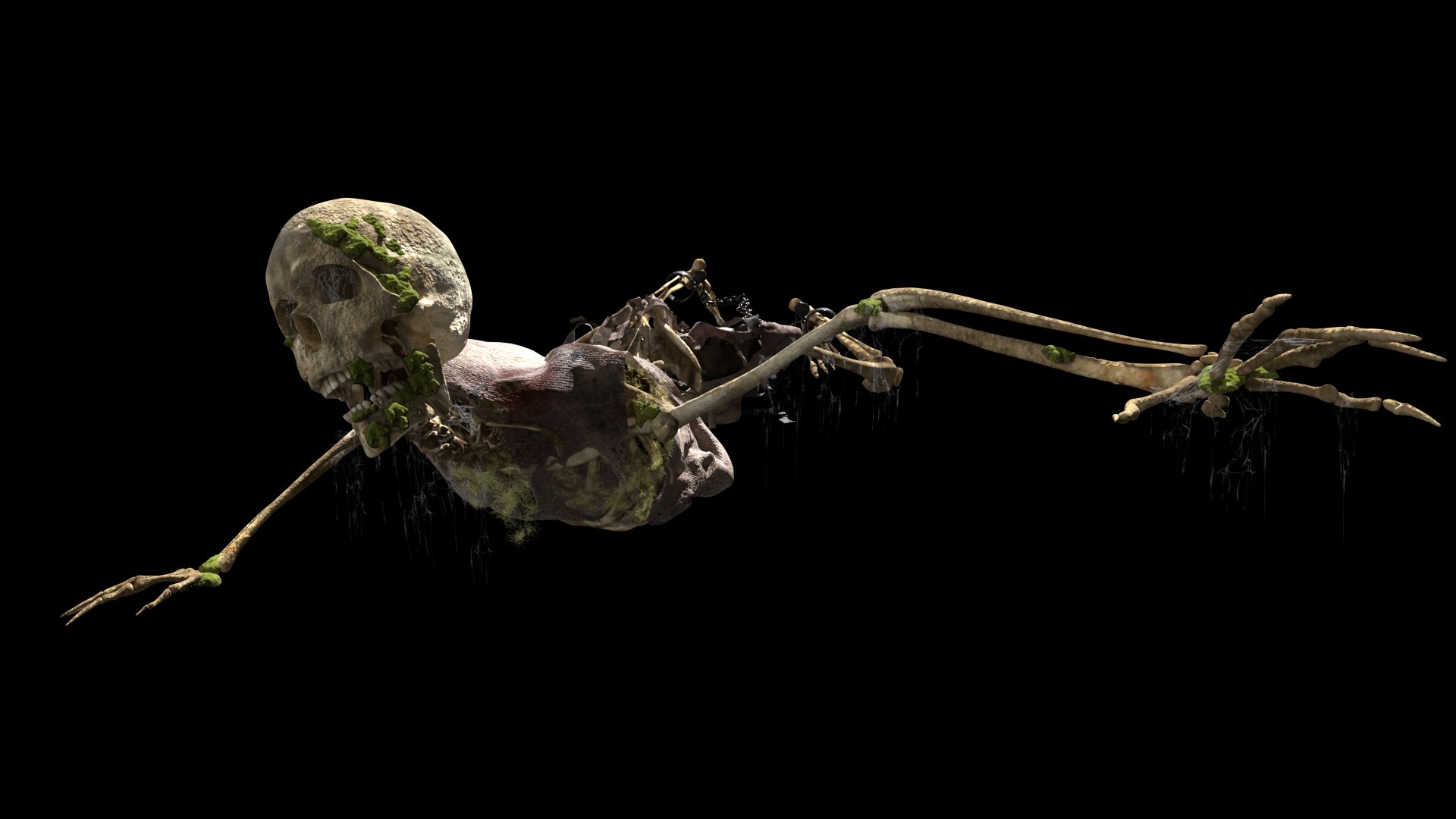 Skeleton 3D Model - TurboSquid 1990429