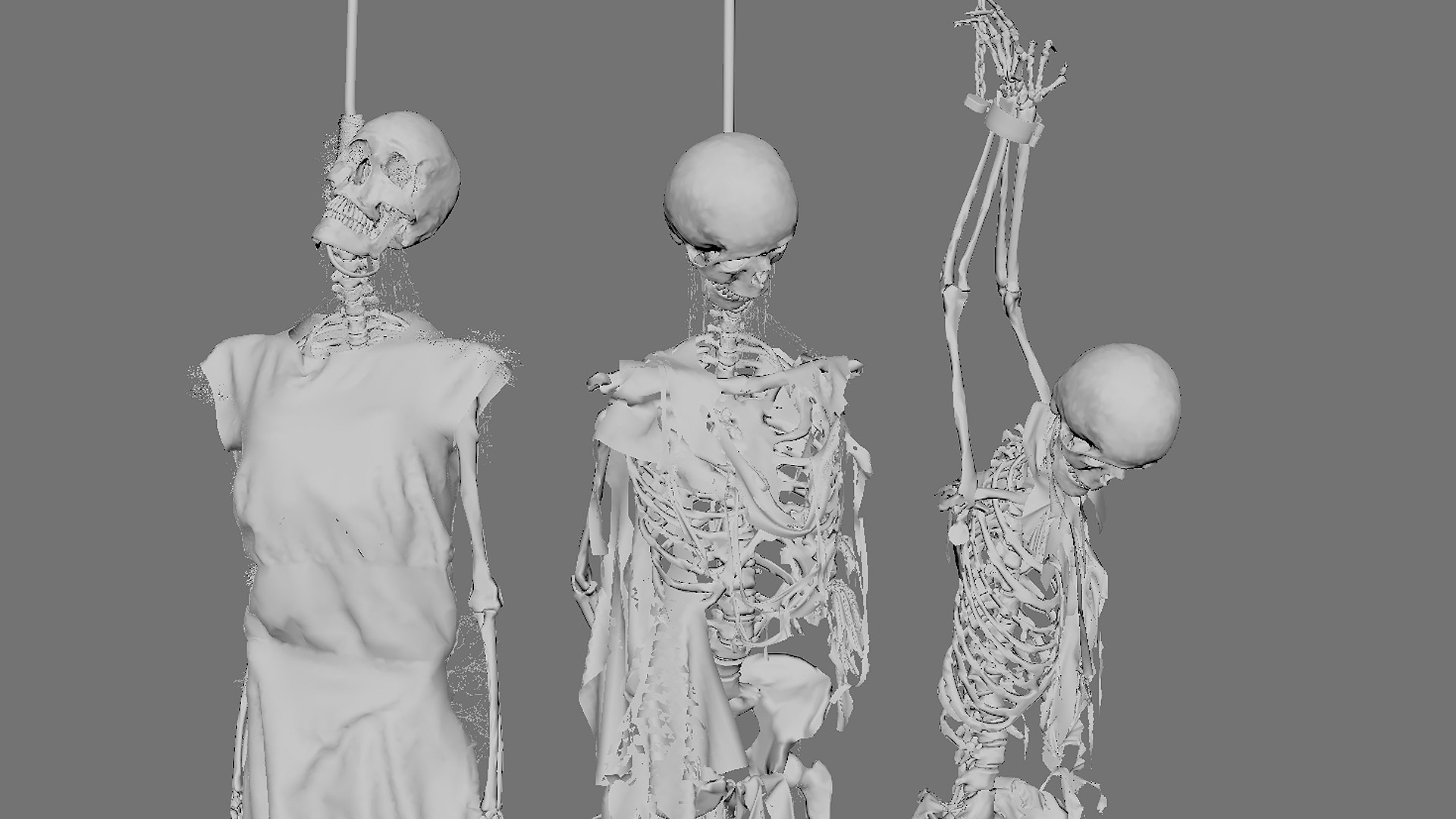 Skeleton 3D Model - TurboSquid 1990429
