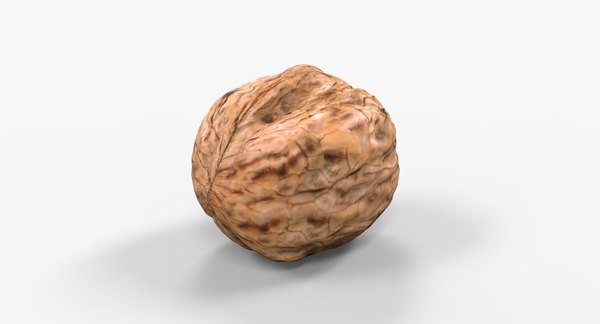 3D model walnut nut - TurboSquid 1318838