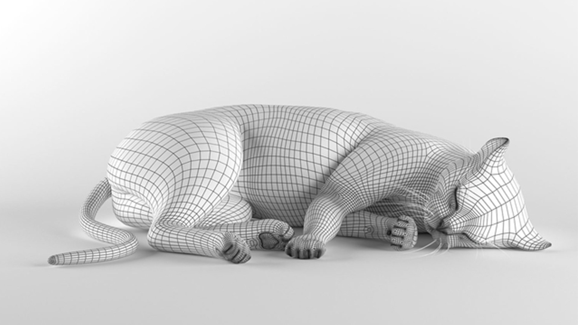 3D Sleeping Cat Model - TurboSquid 1779660