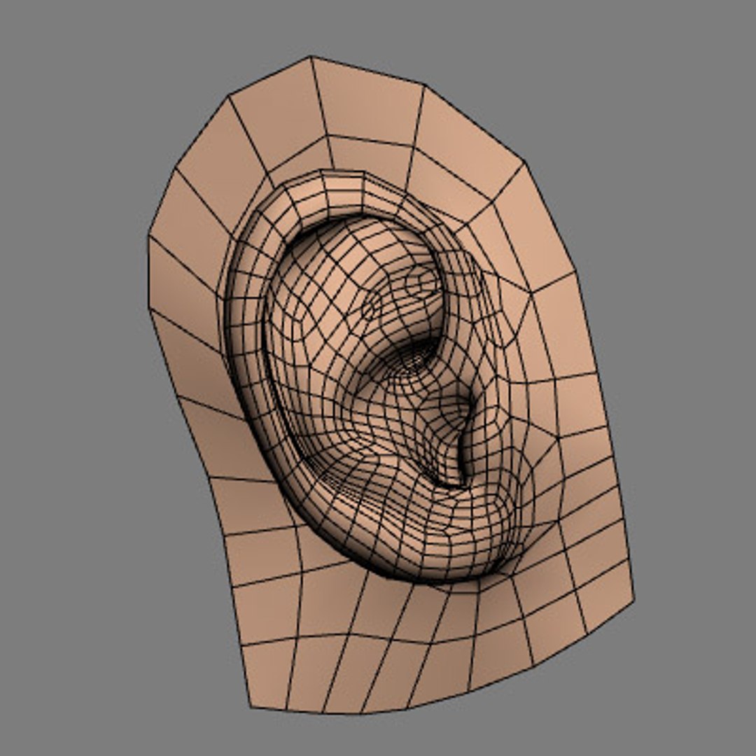 realistic human ear 3d model