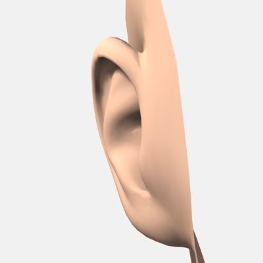 realistic human ear 3d model